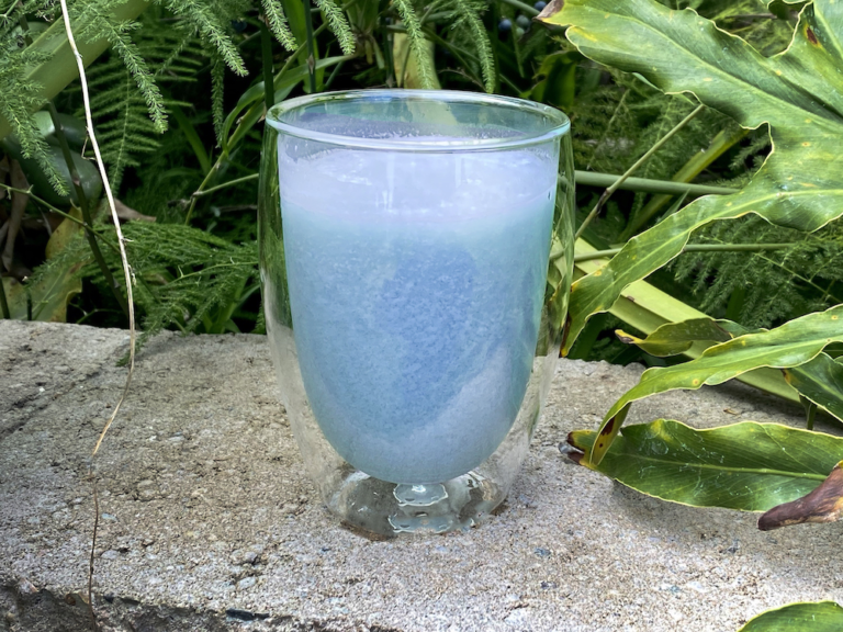 Blue Milk Recipe from Star Wars: Galaxy's Edge - Magic Guidebooks